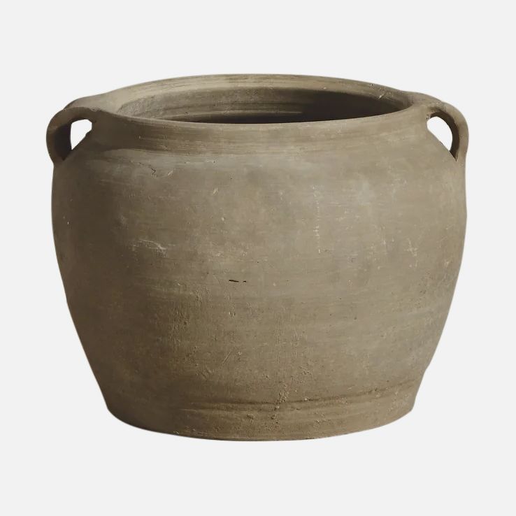 The Expert - Black Cumin Pot
